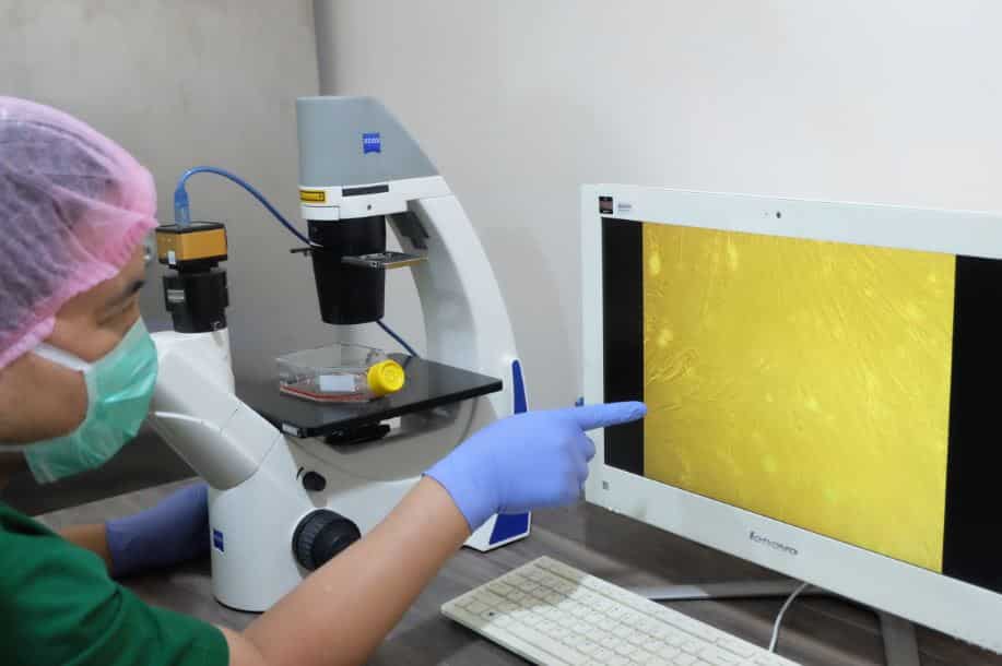 Digital-capable inverted light microscope - Stem Cell and Cancer Research