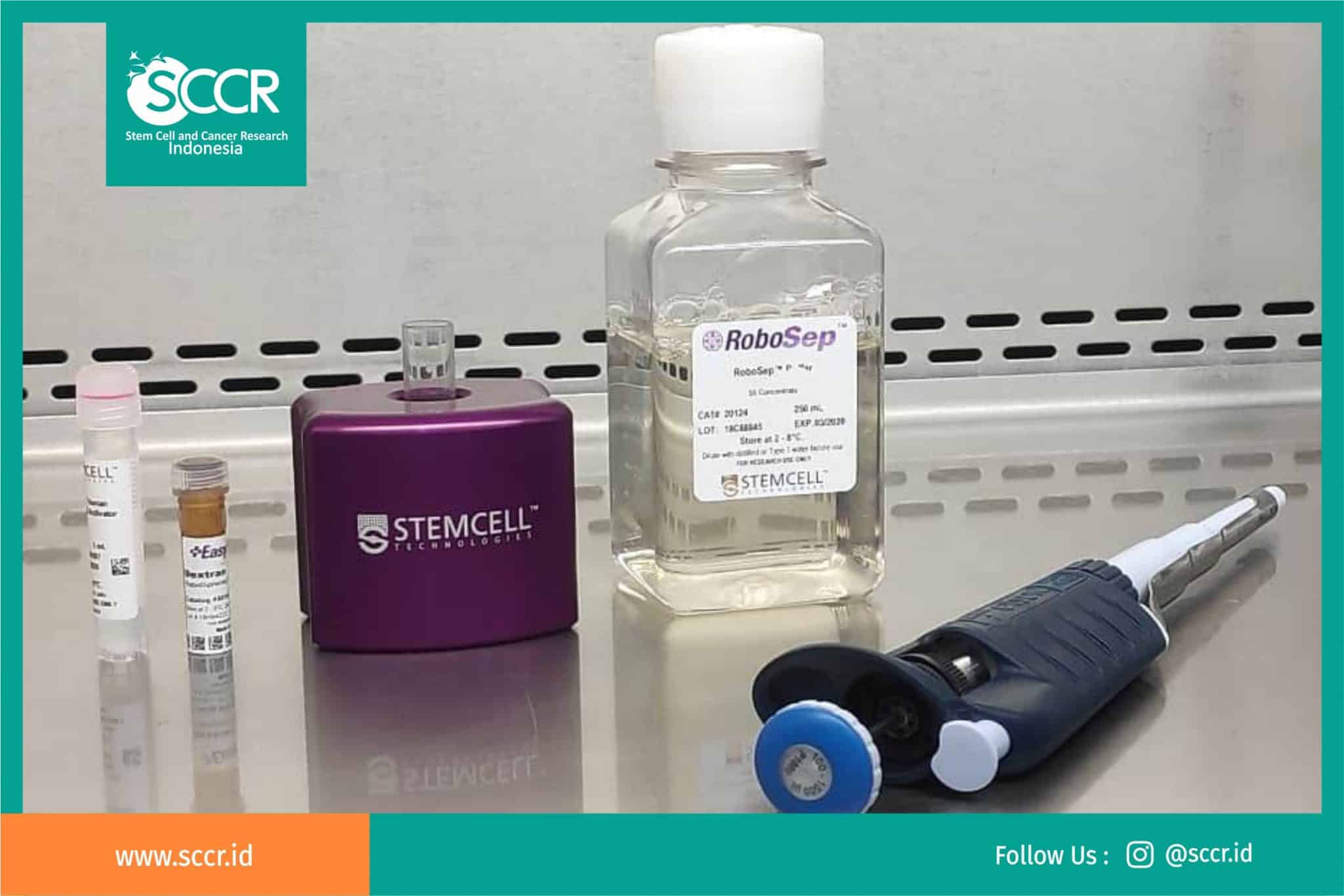 Immunomagnetic cell separator - Stem Cell and Cancer Research